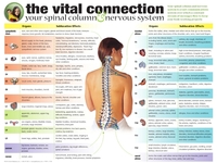 The Vital Connection Effects Chart | Koren Publications